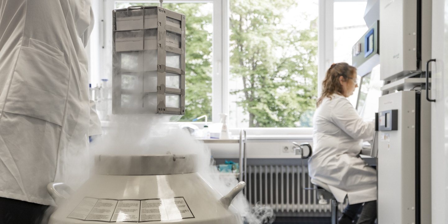 Monoklonale Antikörper – InphA